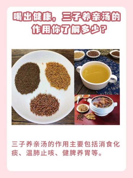 二陈汤合三子养亲汤的功效_适合哪些人群-第1张图片-山城妙识