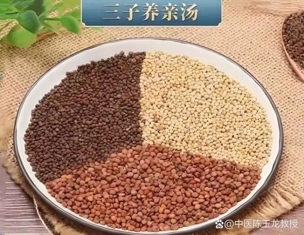 二陈汤合三子养亲汤的功效_适合哪些人群-第3张图片-山城妙识