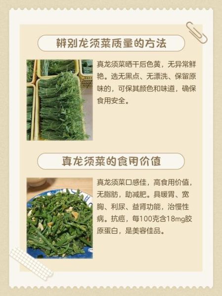 白色龙须菜是假的吗_如何辨别真假龙须菜-第1张图片-山城妙识