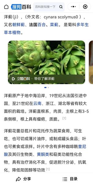 洋蓟怎么吃_洋蓟怎么做好吃-第3张图片-山城妙识 洋蓟怎么吃_洋蓟怎么做好吃-第3张图片-山城妙识