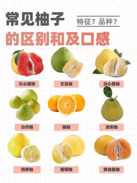 柚子降火吗_柚子有哪些功效与作用-第2张图片-山城妙识 柚子降火吗_柚子有哪些功效与作用-第2张图片-山城妙识