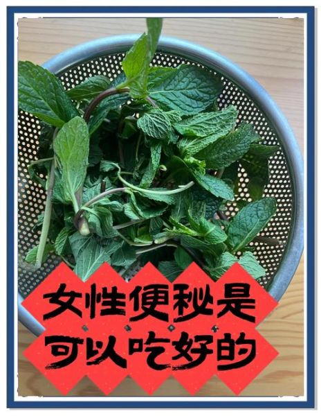 新鲜薄荷叶怎么保存_新鲜薄荷叶怎么用-第3张图片-山城妙识 新鲜薄荷叶怎么保存_新鲜薄荷叶怎么用-第3张图片-山城妙识