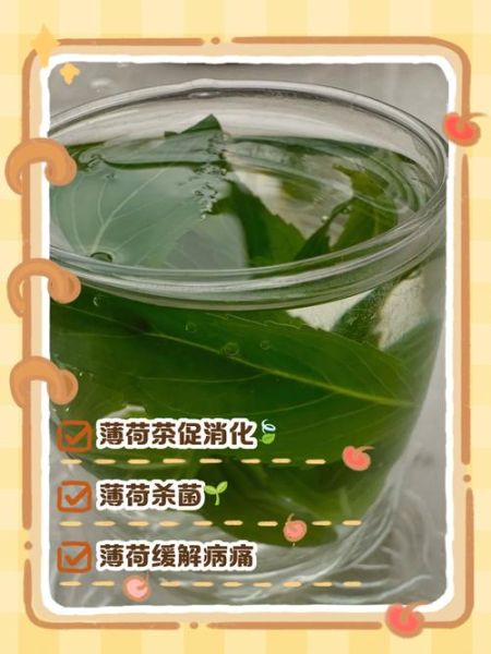 新鲜薄荷叶怎么保存_新鲜薄荷叶怎么用-第2张图片-山城妙识 新鲜薄荷叶怎么保存_新鲜薄荷叶怎么用-第2张图片-山城妙识