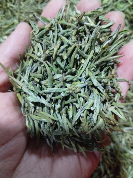 毛峰多少钱一斤_毛峰价格表2024-第2张图片-山城妙识 毛峰多少钱一斤_毛峰价格表2024-第2张图片-山城妙识