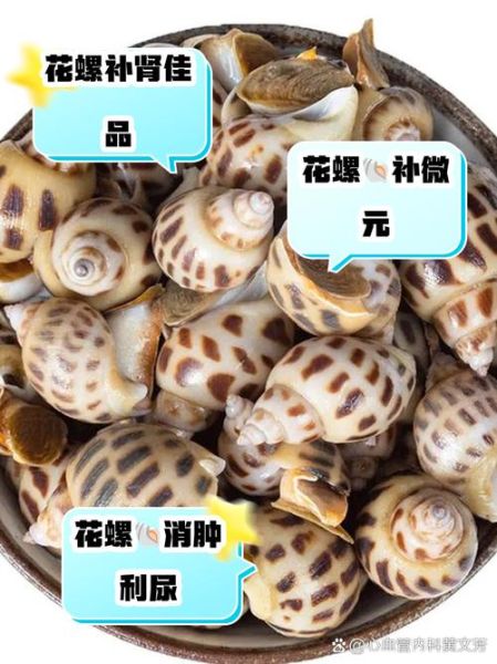 花螺的营养价值及功效_花螺怎么吃最营养-第1张图片-山城妙识