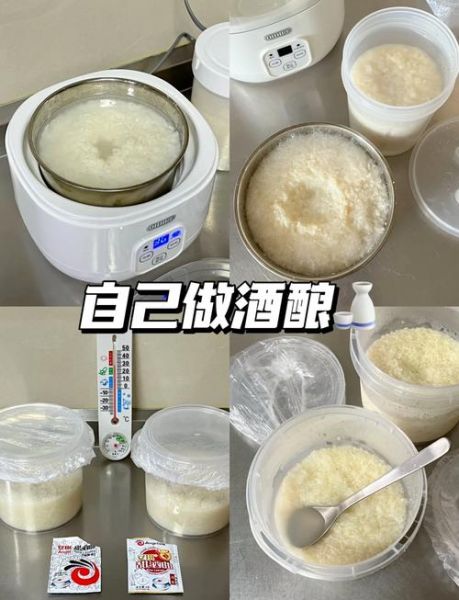 甜酒曲图片怎么看真假_甜酒曲图片选购技巧-第1张图片-山城妙识