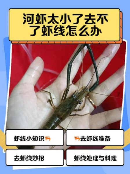 虾子怎么去虾线_虾线挑不干净怎么办-第2张图片-山城妙识