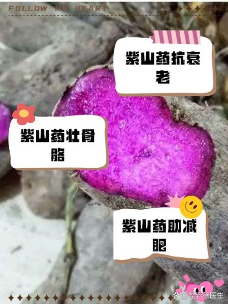 薯蓣的功效与作用_薯蓣怎么吃最好-第1张图片-山城妙识