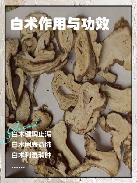 生白术的功效与作用及禁忌_生白术哪些人不能吃-第2张图片-山城妙识