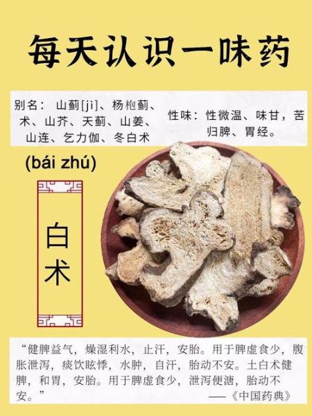 生白术的功效与作用及禁忌_生白术哪些人不能吃-第1张图片-山城妙识