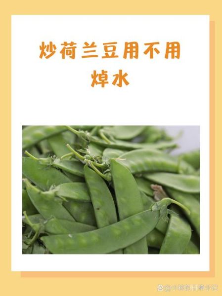 荷兰豆炒多久才熟_荷兰豆炒之前要焯水吗-第2张图片-山城妙识
