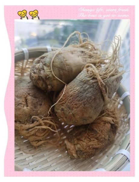 腌大头菜怎么做好吃_腌大头菜的做法窍门-第1张图片-山城妙识