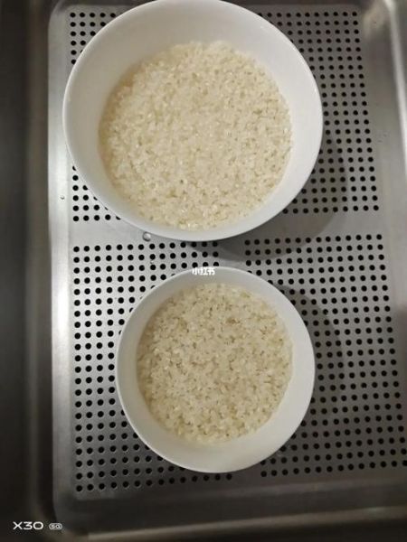 蒸箱蒸米饭怎么选米_蒸箱蒸米饭要多久-第3张图片-山城妙识