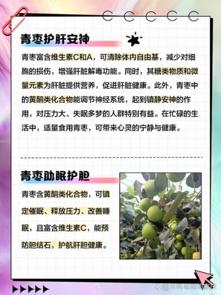 青枣的功效与作用有哪些_青枣怎么吃最好-第3张图片-山城妙识