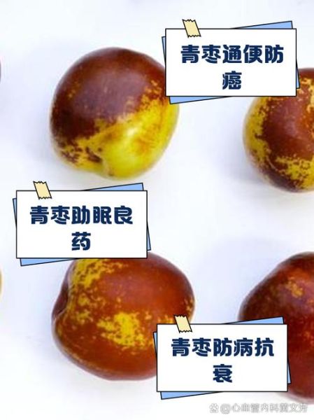 青枣的功效与作用有哪些_青枣怎么吃最好-第2张图片-山城妙识