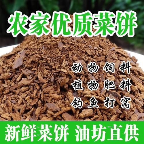 豆饼肥料怎么用_豆饼肥多久浇一次-第2张图片-山城妙识