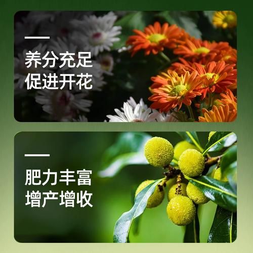 豆饼肥料怎么用_豆饼肥多久浇一次-第3张图片-山城妙识