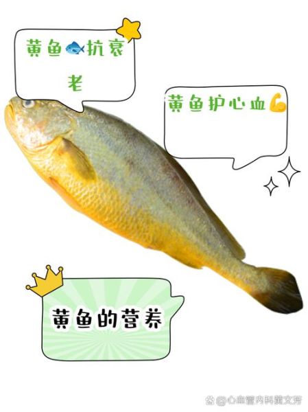黄鱼的营养价值_黄鱼的功效与作用-第1张图片-山城妙识 黄鱼的营养价值_黄鱼的功效与作用-第1张图片-山城妙识