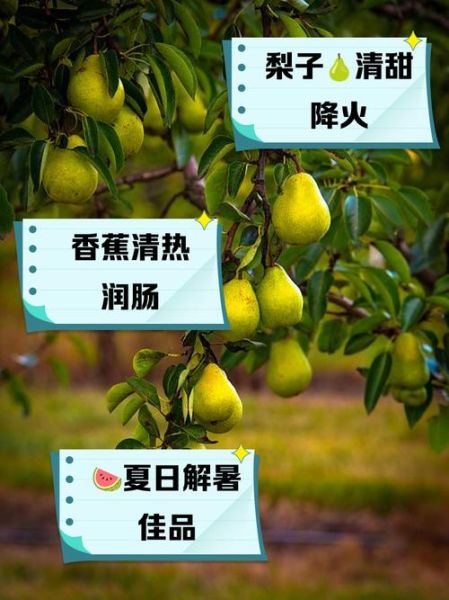 败火水果有哪些_败火水果怎么吃最有效-第1张图片-山城妙识