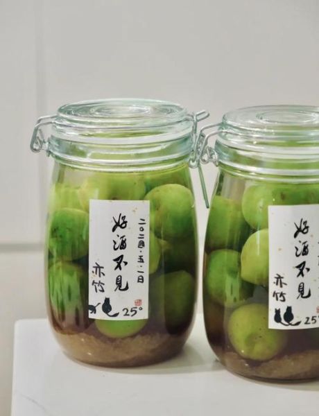 青梅酒的功效与禁忌_青梅酒适合什么人喝-第2张图片-山城妙识