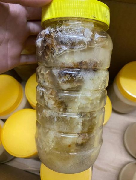 鸭脚木蜜的功效与作用_鸭脚木蜜适合什么人喝-第3张图片-山城妙识