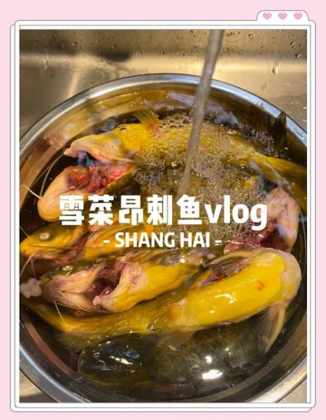 雪菜昂刺鱼怎么做_雪菜昂刺鱼的家常做法-第3张图片-山城妙识 雪菜昂刺鱼怎么做_雪菜昂刺鱼的家常做法-第3张图片-山城妙识