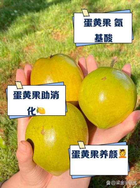 鸡蛋果的功效与作用_鸡蛋果怎么吃最好-第1张图片-山城妙识 鸡蛋果的功效与作用_鸡蛋果怎么吃最好-第1张图片-山城妙识