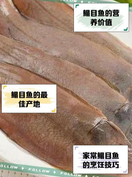 鳎鱼怎么读_鳎鱼是什么鱼-第1张图片-山城妙识 鳎鱼怎么读_鳎鱼是什么鱼-第1张图片-山城妙识