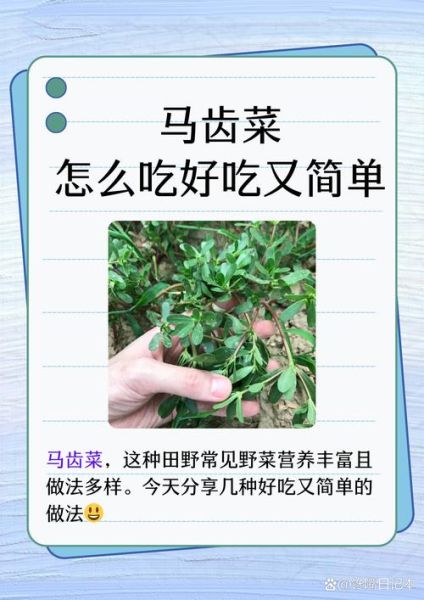 马齿菜怎么吃_马齿菜的做法大全-第1张图片-山城妙识