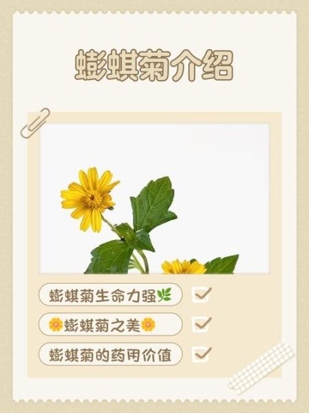 蟛蜞菊的功效与作用_蟛蜞菊怎么种植-第1张图片-山城妙识