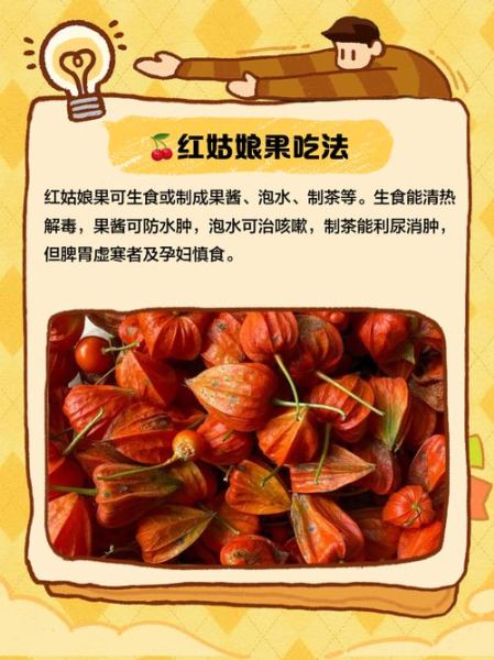 红姑娘果的功效与禁忌_孕妇能吃吗-第2张图片-山城妙识 红姑娘果的功效与禁忌_孕妇能吃吗-第2张图片-山城妙识