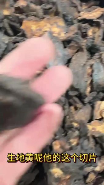 生地熟地区别_生地熟地哪个更好-第2张图片-山城妙识 生地熟地区别_生地熟地哪个更好-第2张图片-山城妙识