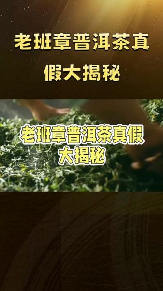 顶级普洱茶有哪些_如何辨别真假老班章-第3张图片-山城妙识