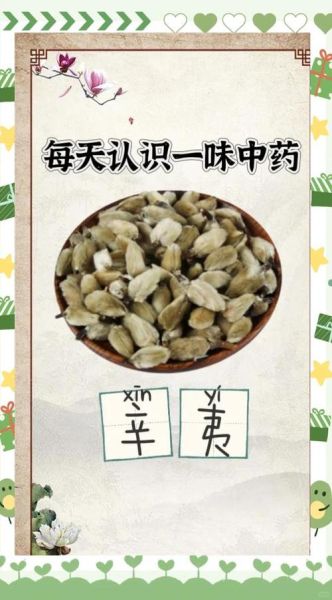 辛夷是什么中药_辛夷的功效与作用-第3张图片-山城妙识