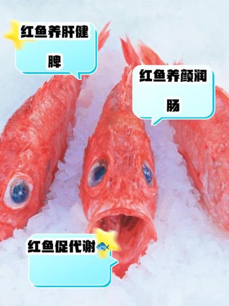 红鱼在市场叫什么名_红鱼品种与价格全解析-第1张图片-山城妙识 红鱼在市场叫什么名_红鱼品种与价格全解析-第1张图片-山城妙识