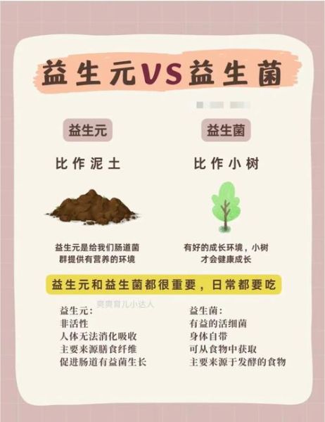 乳酸菌和益生菌有什么区别_哪个更好-第1张图片-山城妙识