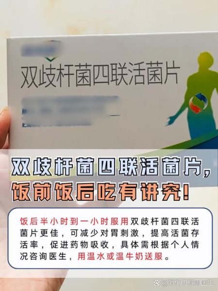 乳酸菌和益生菌有什么区别_哪个更好-第3张图片-山城妙识