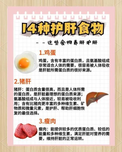 如何养肝护肝_养肝吃什么食物好-第1张图片-山城妙识