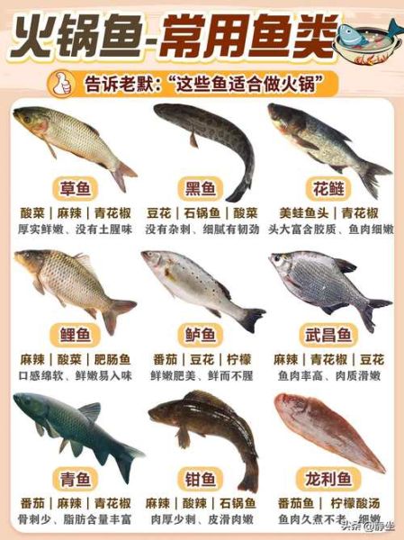 鱼火锅配菜有哪些_怎么搭配才好吃-第1张图片-山城妙识