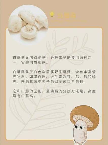 花冬菇和香菇的区别_哪个更好吃-第3张图片-山城妙识