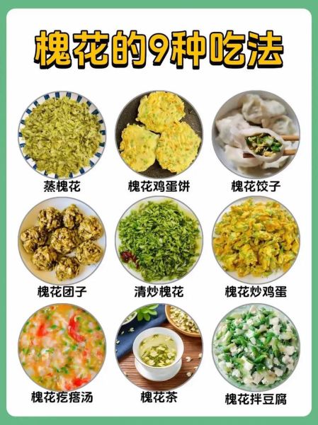 槐花怎么吃_槐花有哪些吃法-第1张图片-山城妙识 槐花怎么吃_槐花有哪些吃法-第1张图片-山城妙识