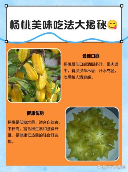 杨桃怎么吃才安全_杨桃哪些人不能吃-第3张图片-山城妙识 杨桃怎么吃才安全_杨桃哪些人不能吃-第3张图片-山城妙识