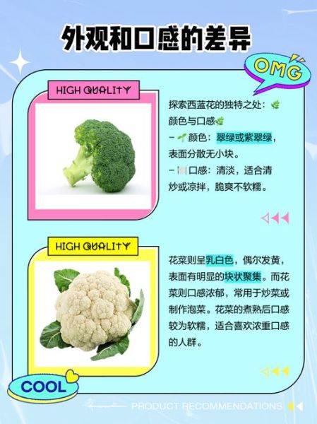 花椰菜是西兰花吗_区别与营养对比-第2张图片-山城妙识 花椰菜是西兰花吗_区别与营养对比-第2张图片-山城妙识