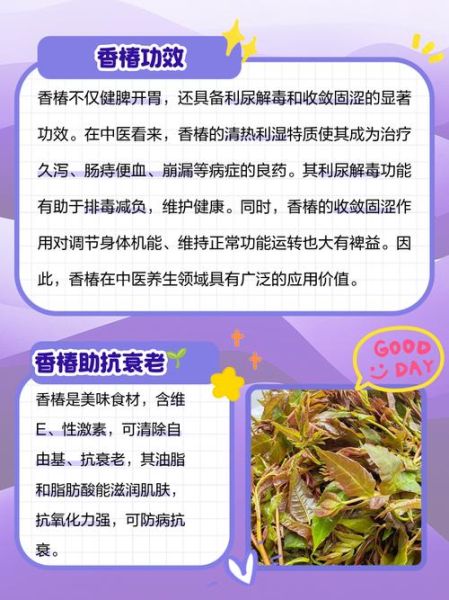 香椿的功效与禁忌_什么人不能吃香椿-第3张图片-山城妙识