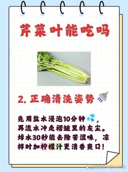芹菜叶子能吃吗_芹菜叶子的营养价值-第3张图片-山城妙识