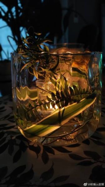 杨猫的微博小爷是谁_杨猫的微博小爷写了什么-第2张图片-山城妙识