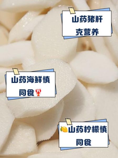 吃铁棍山药的禁忌有哪些_铁棍山药不能和什么一起吃-第1张图片-山城妙识