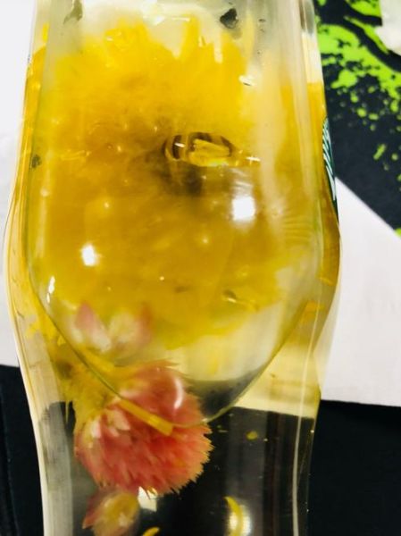 红巧梅花茶的功效与作用_红巧梅花茶怎么泡-第3张图片-山城妙识 红巧梅花茶的功效与作用_红巧梅花茶怎么泡-第3张图片-山城妙识