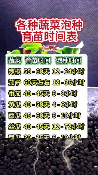 辣椒种子几月份播种_南方北方时间差-第1张图片-山城妙识