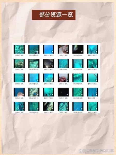 鱼鱼视频怎么下载_鱼鱼视频安全吗-第1张图片-山城妙识